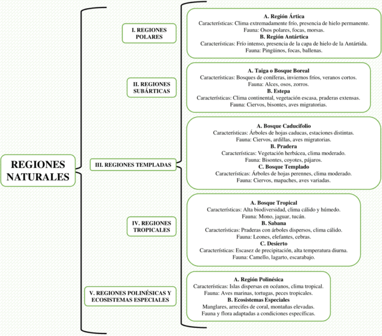Cuadros sinópticos de las Regiones Naturales 【Descargar】