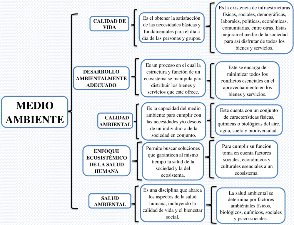 Cuadros sinópticos del Medio Ambiente 【Descargar】